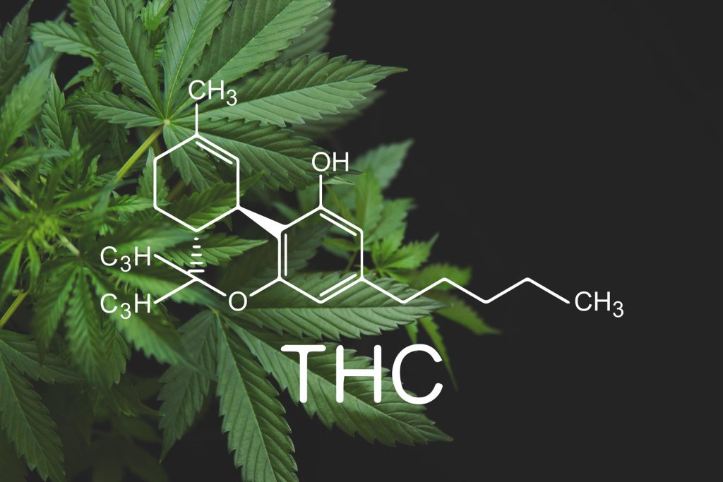 Medical Cannabis and Mental Health: Navigating Therapeutic Uses and ...